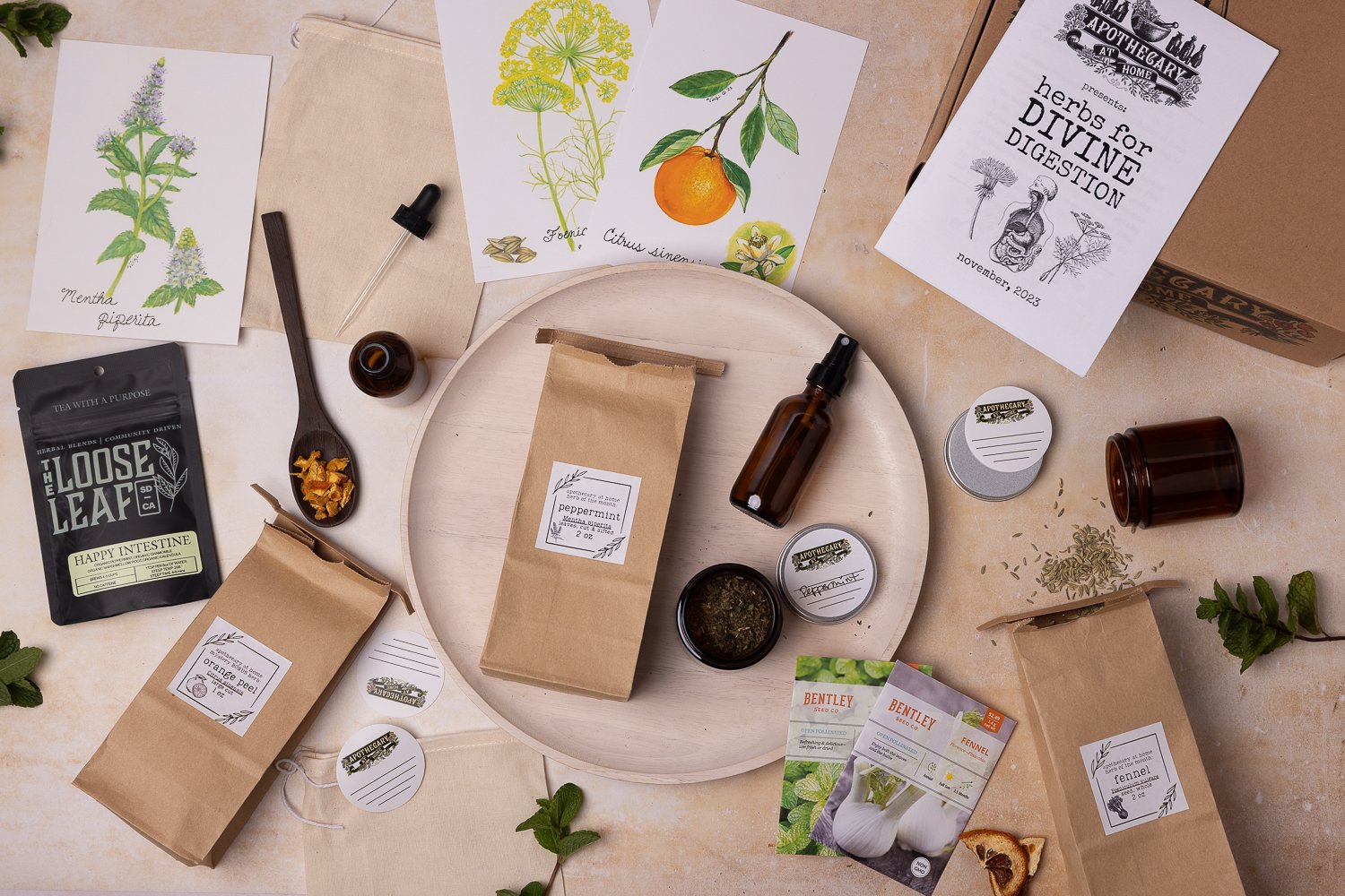 Apothecary At Home - Herbal_Apprentice_Box