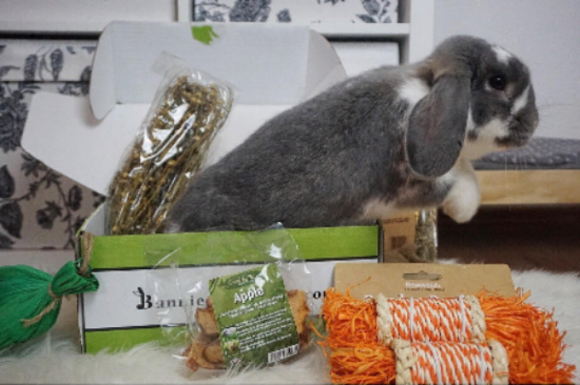 Bunny Rabbit Subscription Box