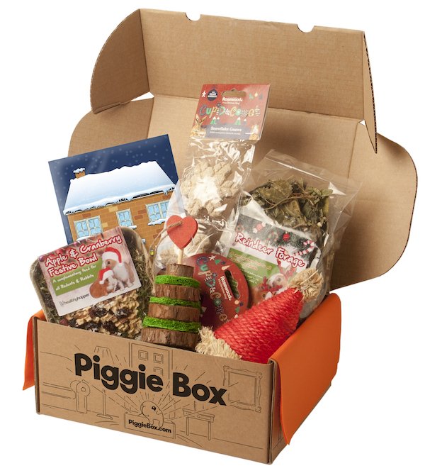 Guinea Pig Subscription Box of Toys, Treats & Gifts | Piggie Box