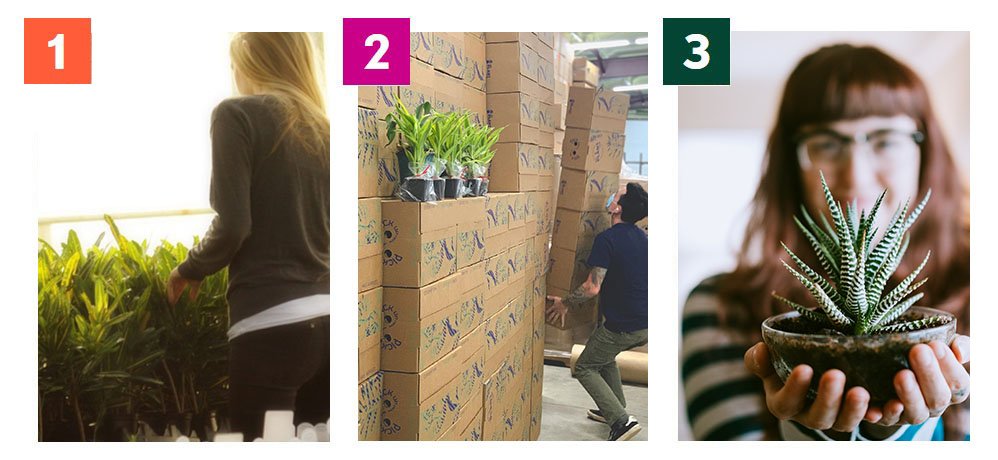 My Garden Box - Howitworks