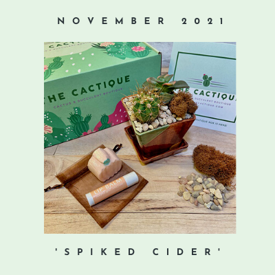 The Cactique Cactus & Succulent Boutique Previous Boxes